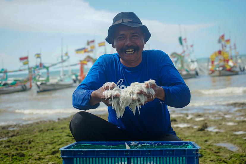 Your Best Seafood Resource - ICS Seafood