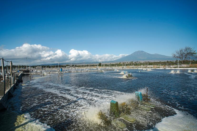 Your Best Seafood Resource - ICS Seafood